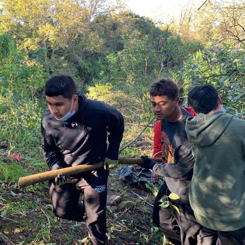 Matariki planting at the awa – Western Springs College
