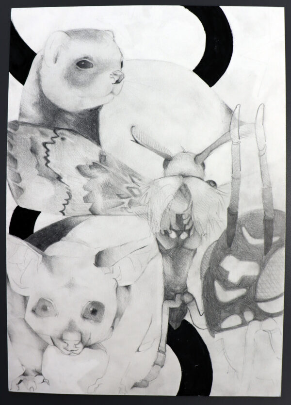 Visual Art News – Western Springs College