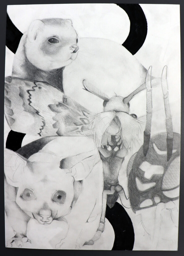 Visual Art News – Western Springs College